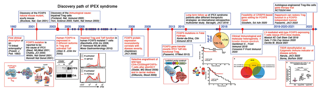 What is IPEX – IPEX Foundation