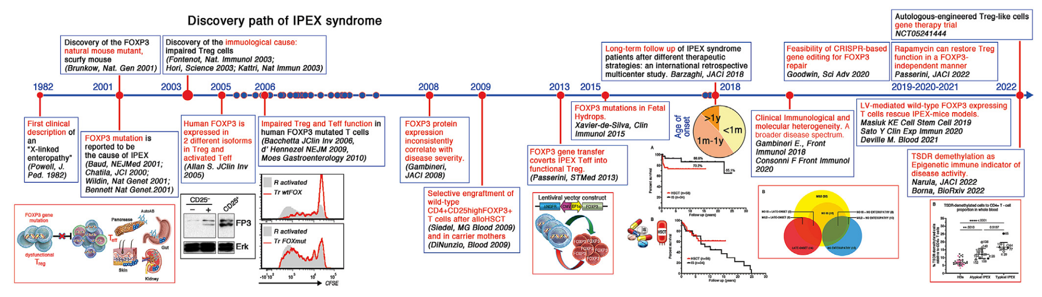 What is IPEX – IPEX Foundation
